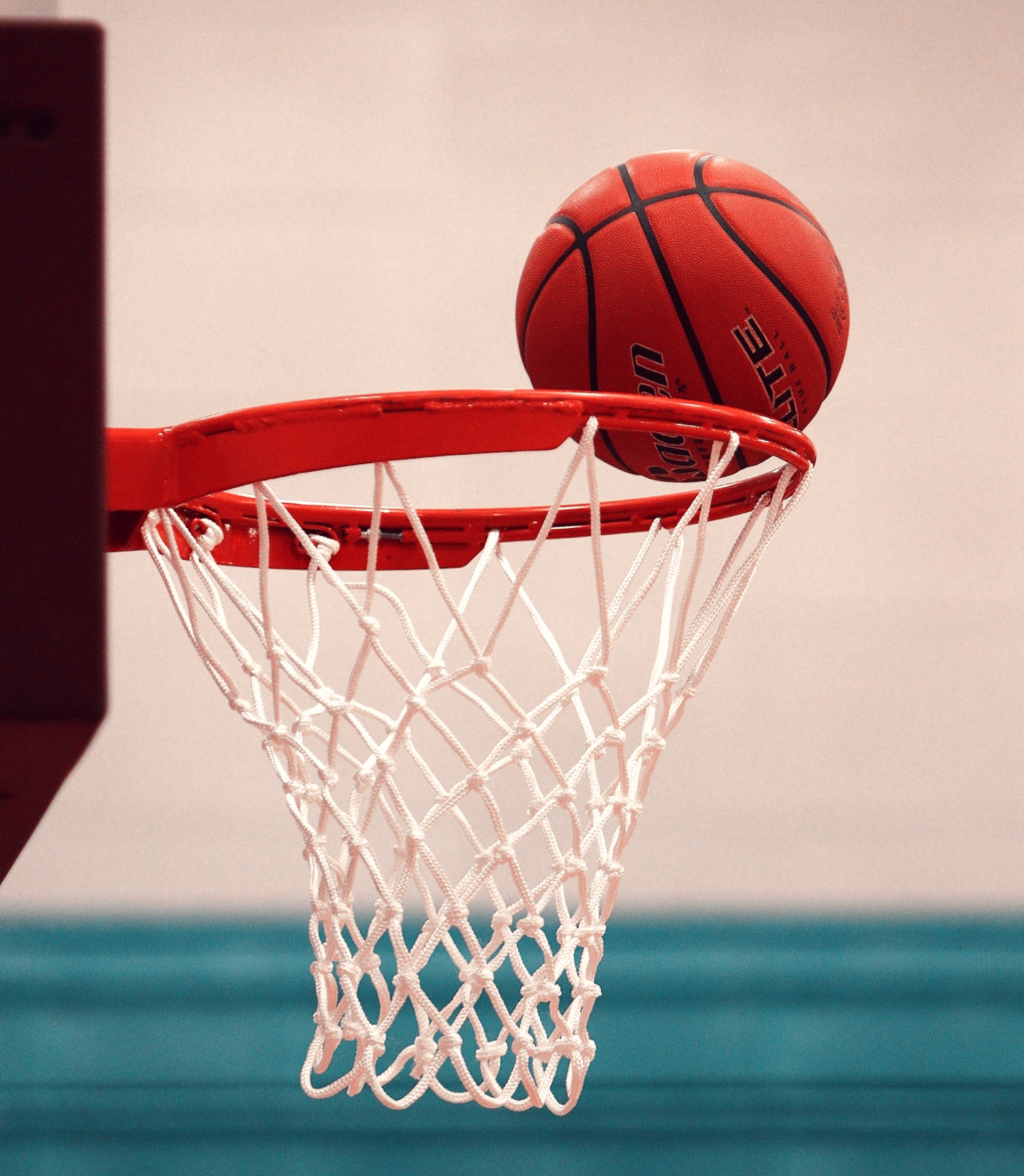 Guarantee? – The Genesis Man Project