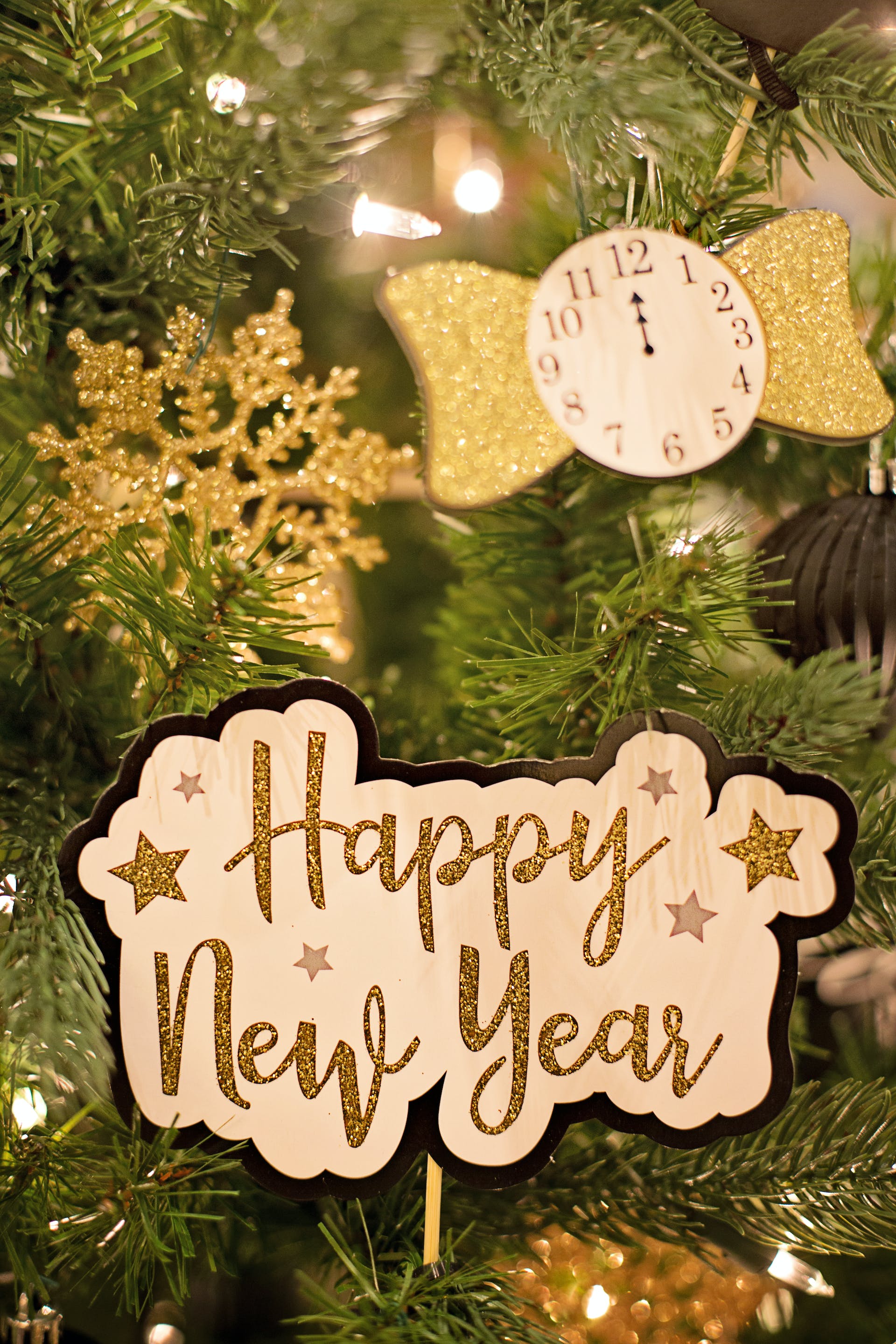 A New Year’s Invitation – The Genesis Man Project